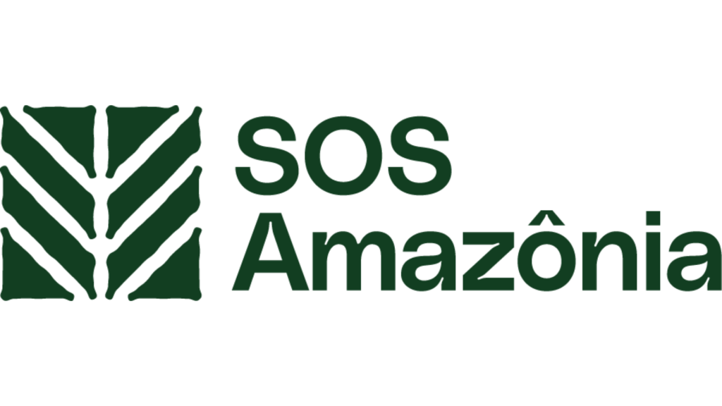 Dia da Amazônia: confira quatro ONGs que atuam na região e saiba como ...
